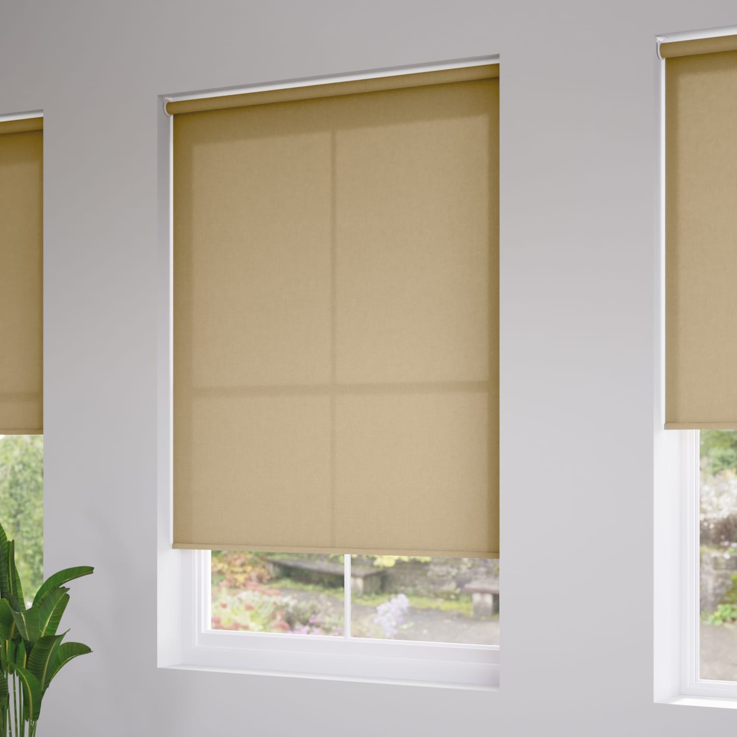 Tenda a rullo Avalon Crema